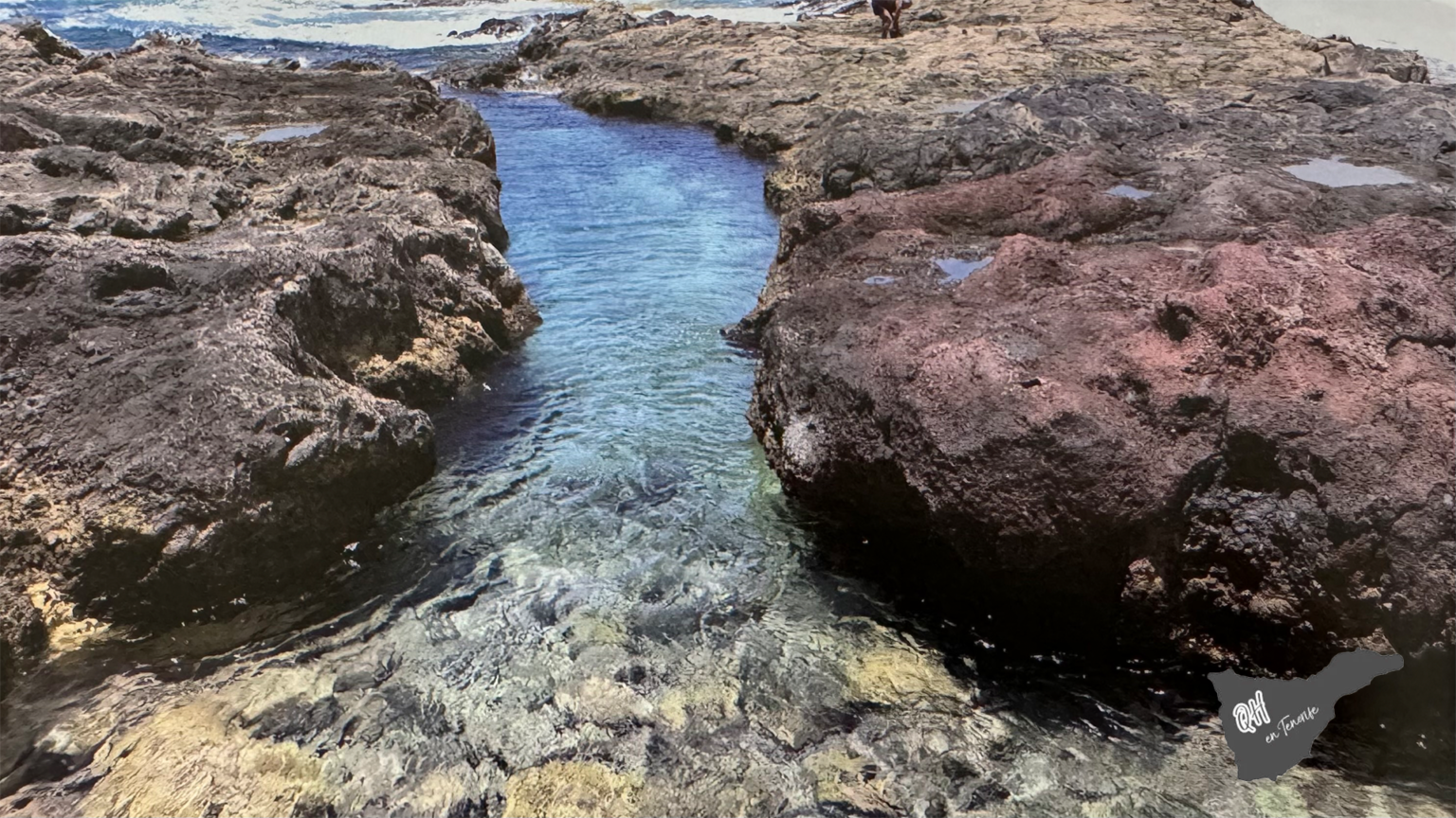 Charco del Cercado - Qué hacer en Tenerife