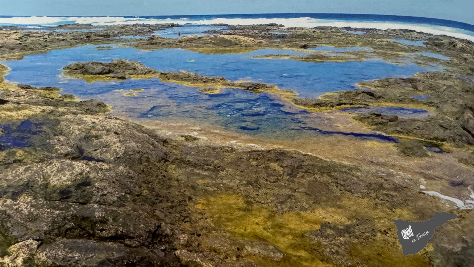 Charco de Los Ángeles - Qué hacer en Tenerife