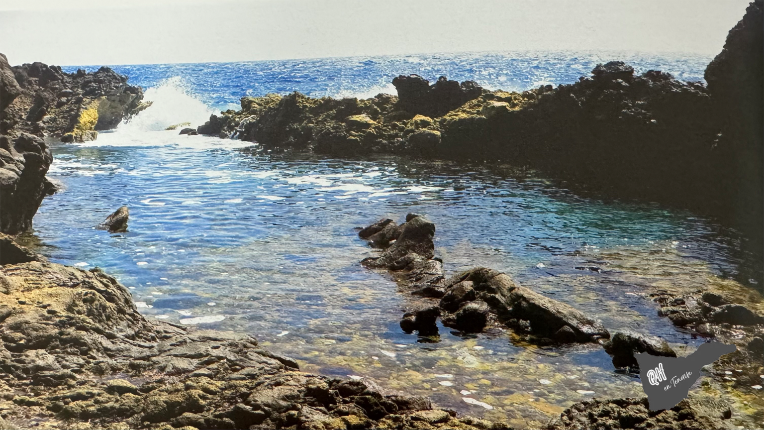 Charco de Puntilla Negra - Qué hacer en Tenerife